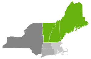 Eastern Line Card | illuminate